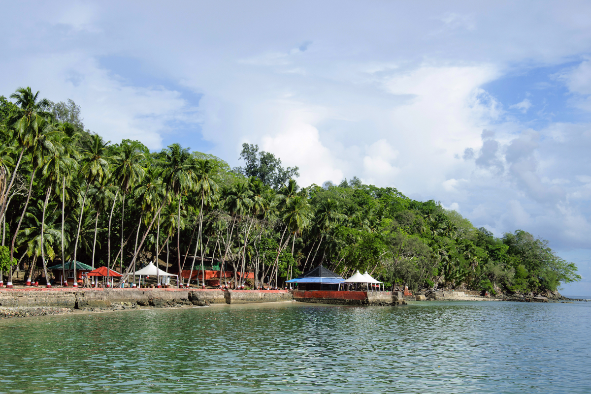 TripzyGo - Book Andaman Family Delights: A Tropical Touch with 20% Exclusive Savings - Get Best ...